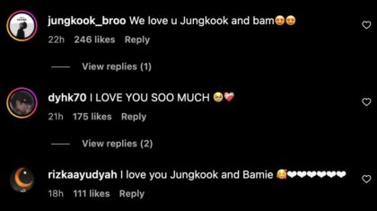 BTS's Jungkook And His Dog Bam Bombarded With Hate Comments And Death Wishes - Koreaboo